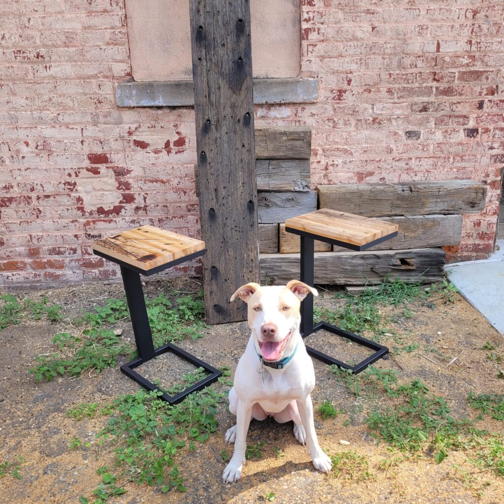 Outdoor accents Archives - Fraser Wood Elements